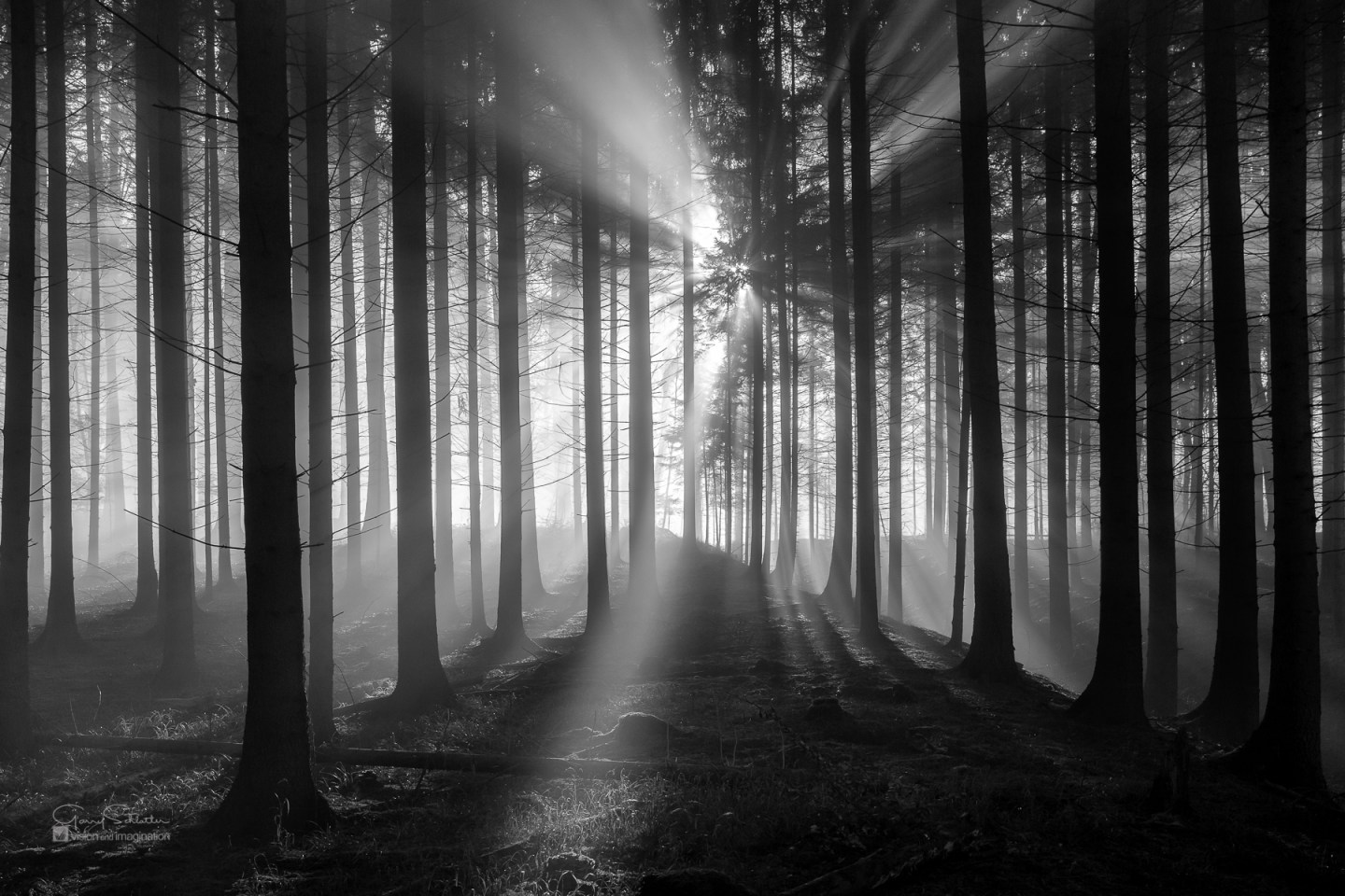 Stalking – The Third Attention