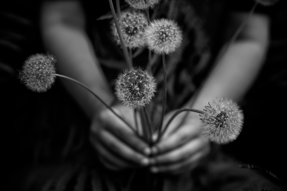 Protection | The Third Attention