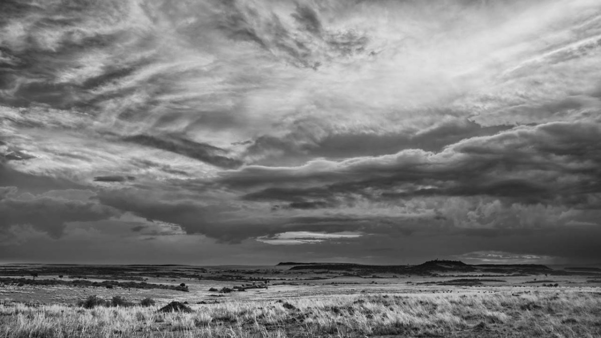 Controlled Folly II | The Event Horizon